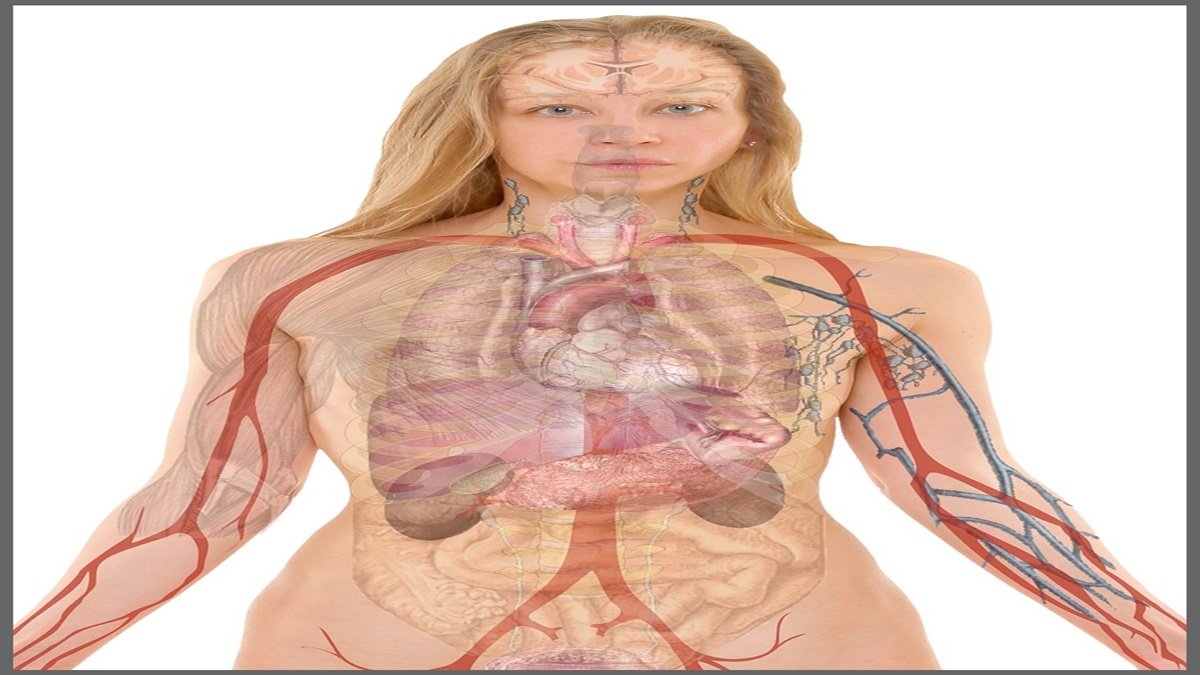 Biology GK Questions In English With Answers Biology GK Questions In English With Answers