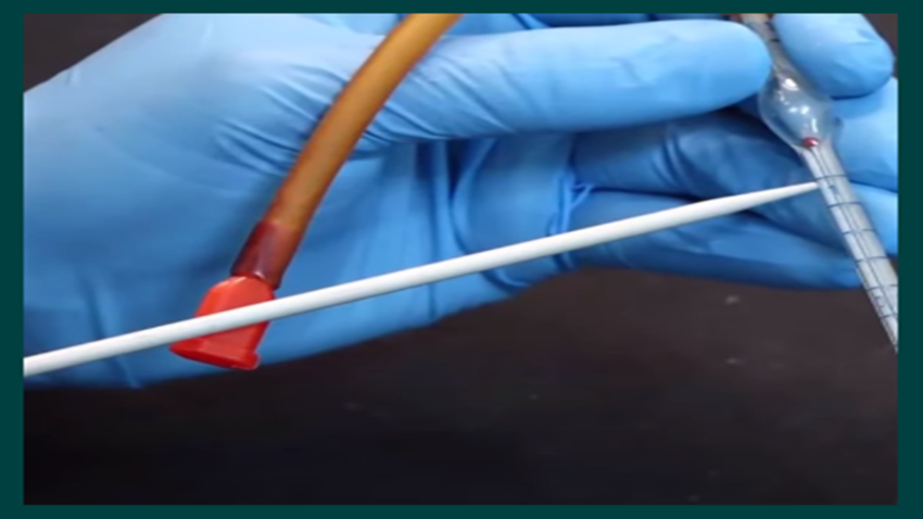 Pathology Instruments: A Comprehensive Guide